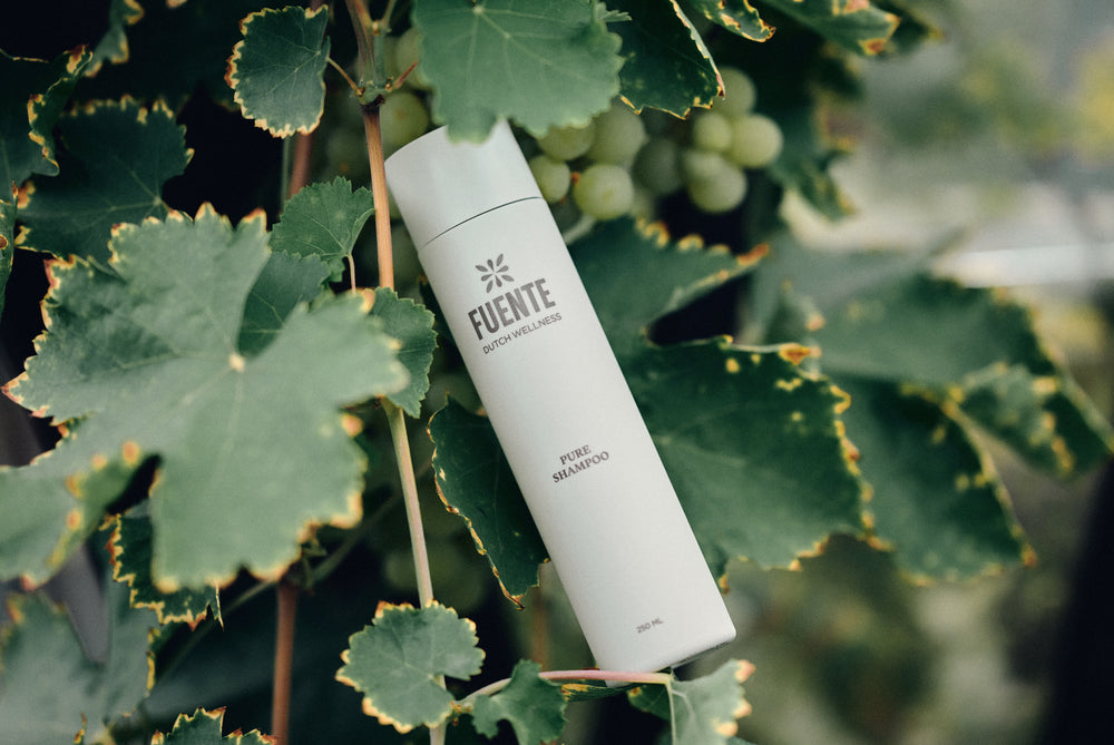 Duurzame Shampoo Refill & Conditioner Refill - Fuente – Fuente ...